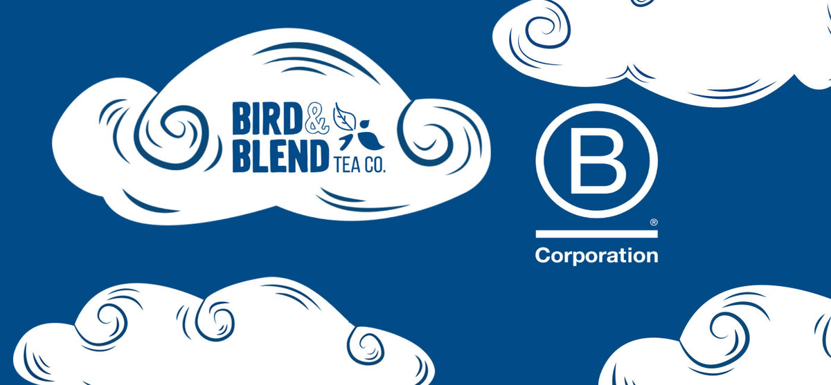 Bird & Blend Tea Co. | We're Becoming a B Corp!