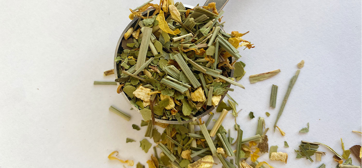 What is Mate Tea? | Bird & Blend Tea Co.