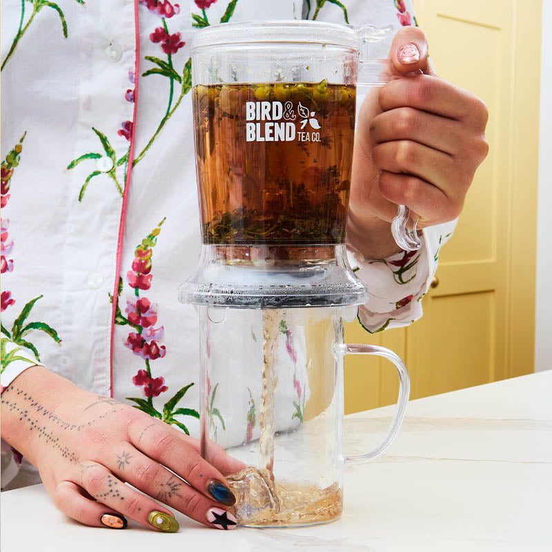 How To Make The Perfect Cup Of Tea In Six Easy Steps | Bird & Blend Tea Co.