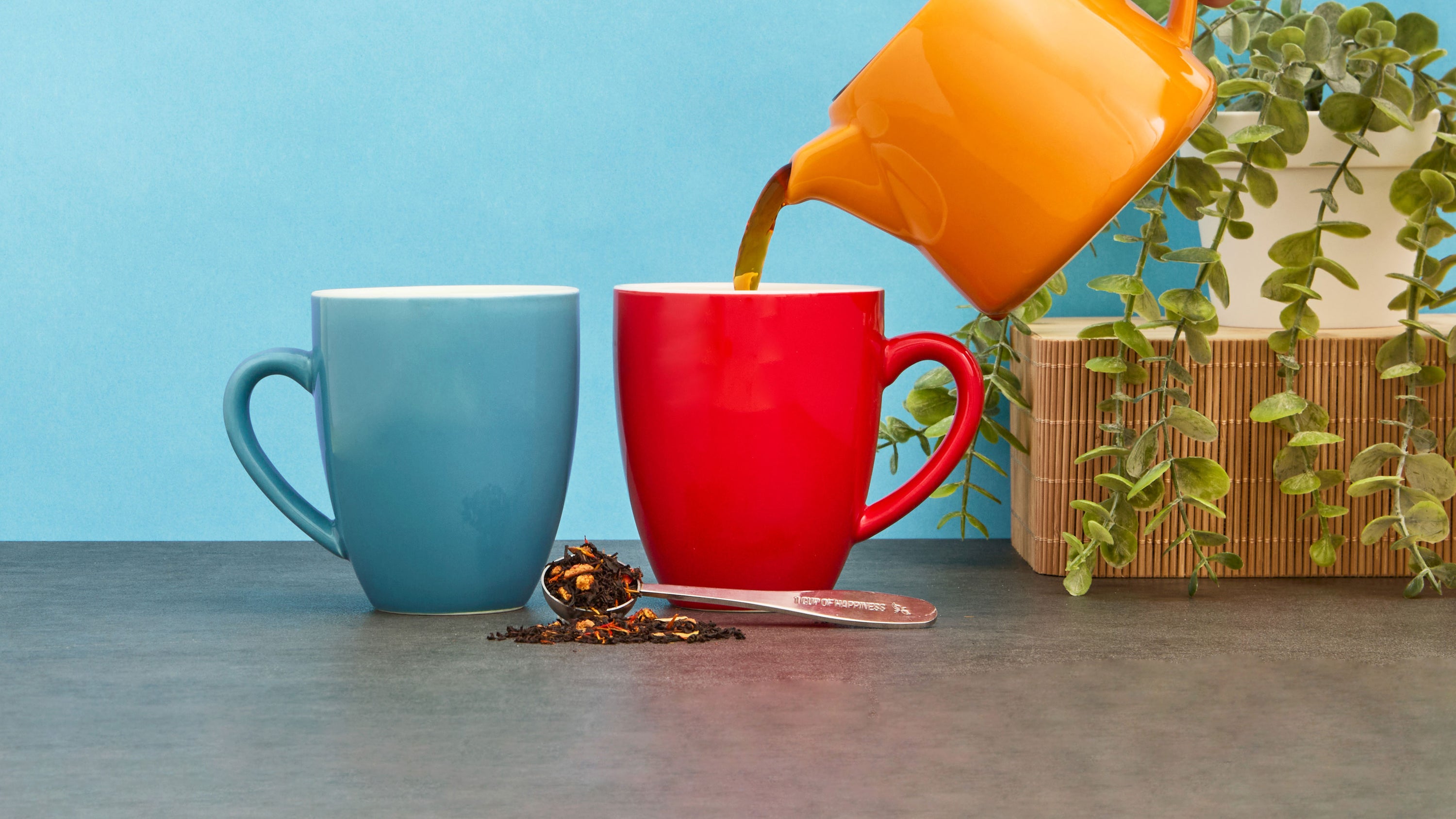 Loose Leaf Tea Blends | Bird & Blend Tea Co.