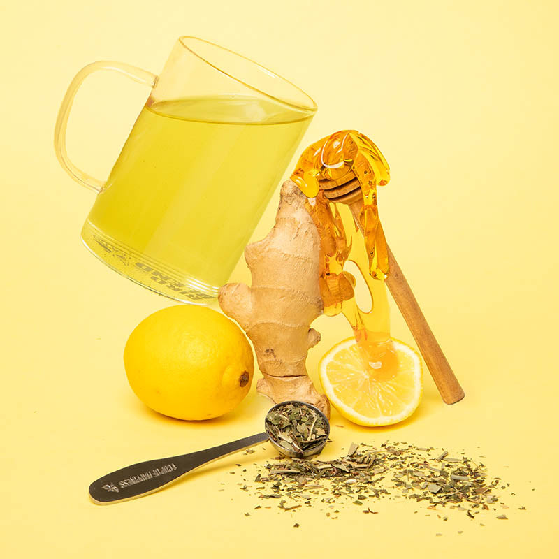 Cold Weather Warrior Tea | Bird & Blend Tea Co.