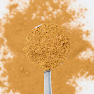 Turmeric Tea Powder | Bird & Blend Tea Co.